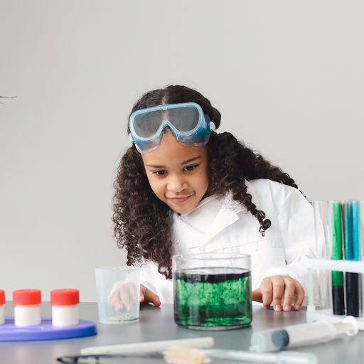 Top 5 Reasons Why STEM Education Is So Important in 2024 - The Corelink ...